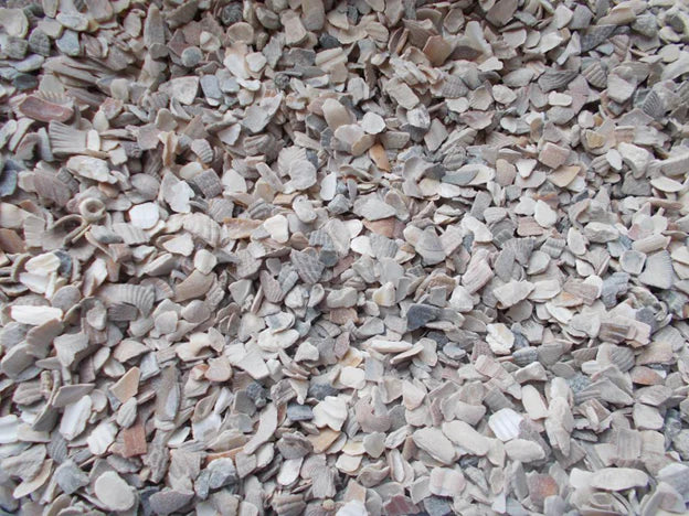 Crushed Oyster Shell 25kg – CanvasbackPets