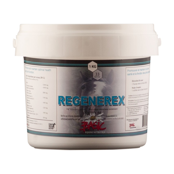 Basic Equine Regenerex 1kg – CanvasbackPets