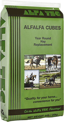 ALFALFA HAY CUBES 20KG – CanvasbackPets