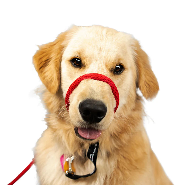 Heather's Heroes Sidekick 3/8" – CanvasbackPets