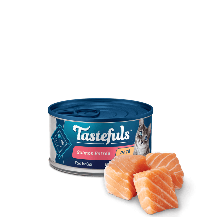 Blue Salmon Pate 5.5oz Tasteful – CanvasbackPets